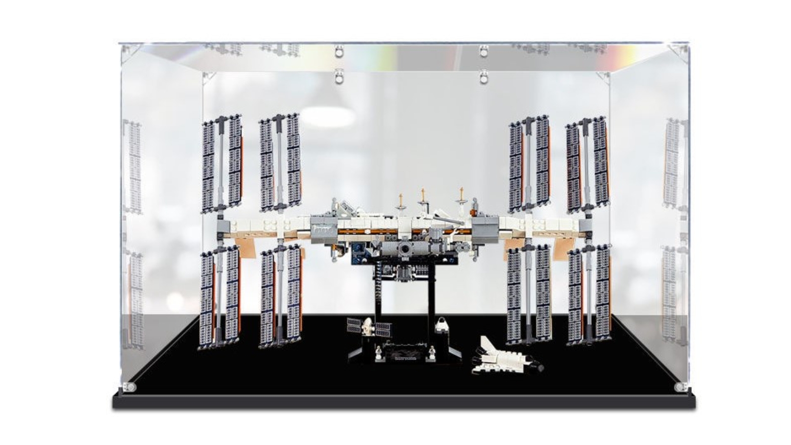 display case international