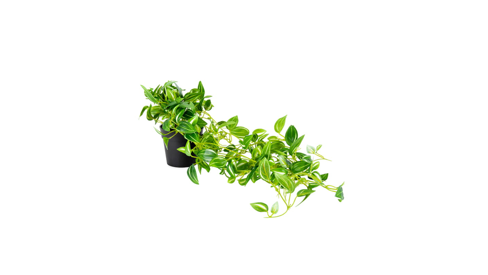 High St Artificial Green Potted Hanging Weeper - 20 x 72cm | Harvey Norman