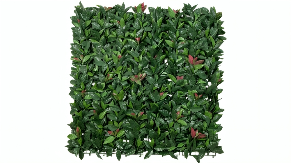 Designer Plants UV Resistant Photinia (Red Robin) Hedge Leaf Screen ...