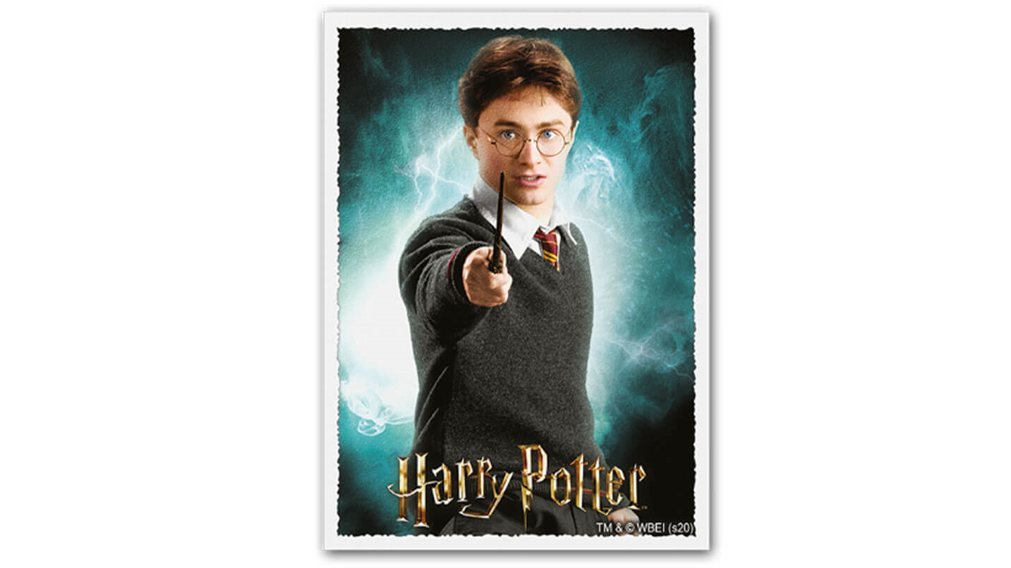 Dragon Shield Box of 100 Standard Card Size Matte Art Sleeve - Harry ...