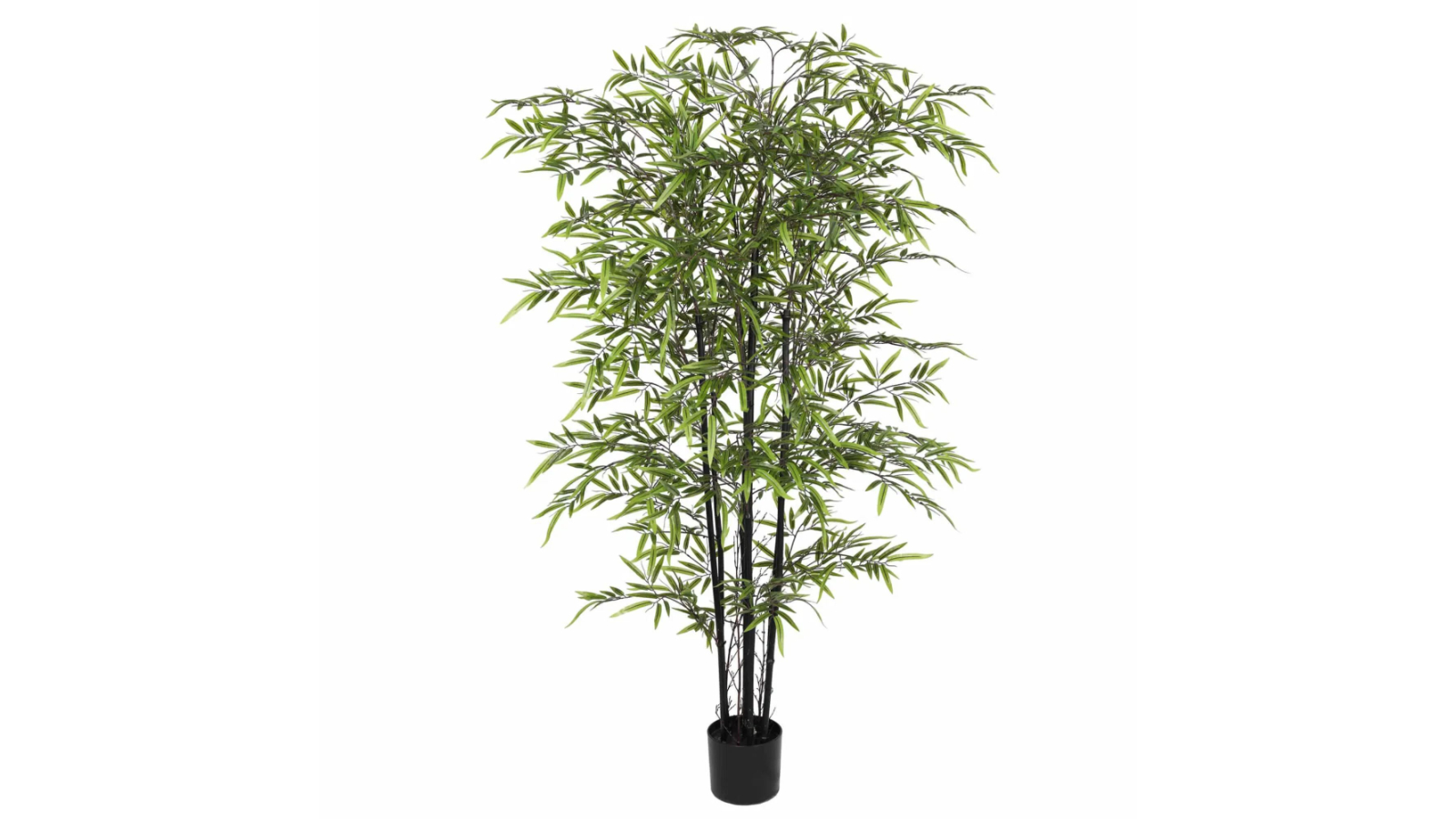 Designer Plants Premium Dense Artificial Black Bamboo | Harvey Norman