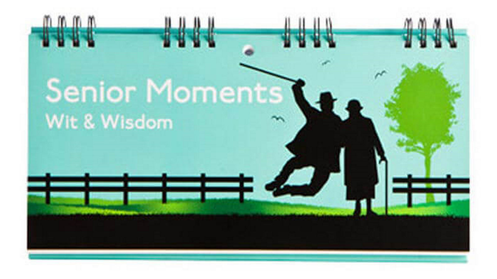 LatestBuy Senior Moments Wisdom Flip Book | Harvey Norman