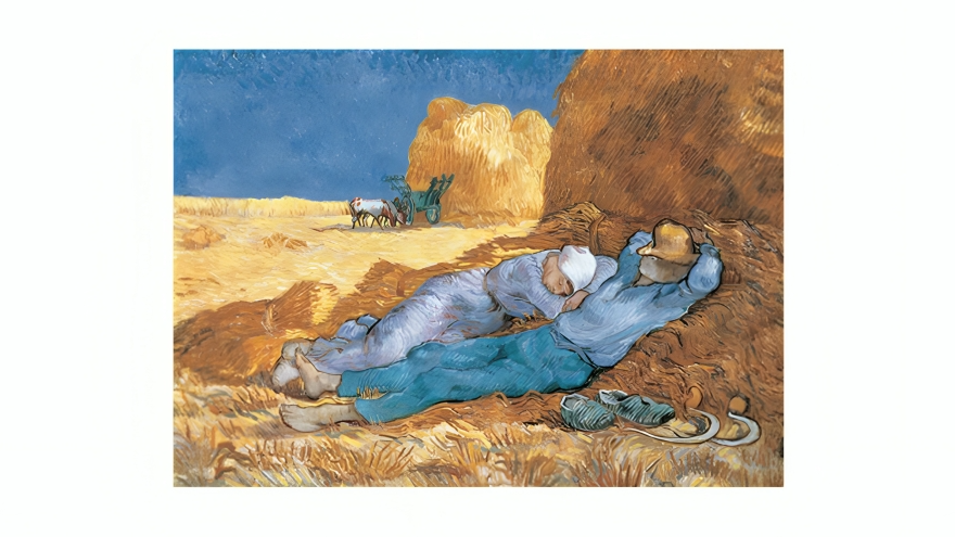Tomax Collection 2000 Piece Jigsaw Puzzle - The Siesta | Harvey Norman