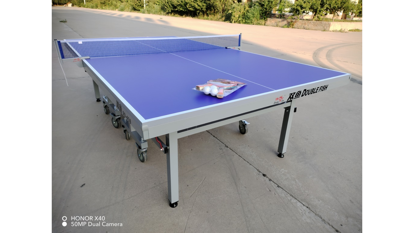 Double Fish 2.5cm Top Table Tennis Ping Pong Table | Harvey Norman