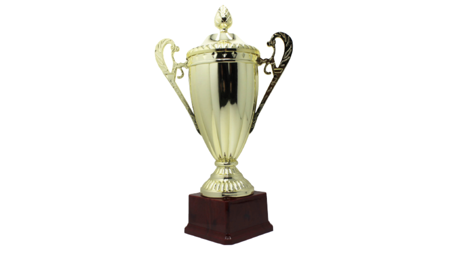 BR Sports Classic Gold Novelty Trophy Cup - Large | Harvey Norman