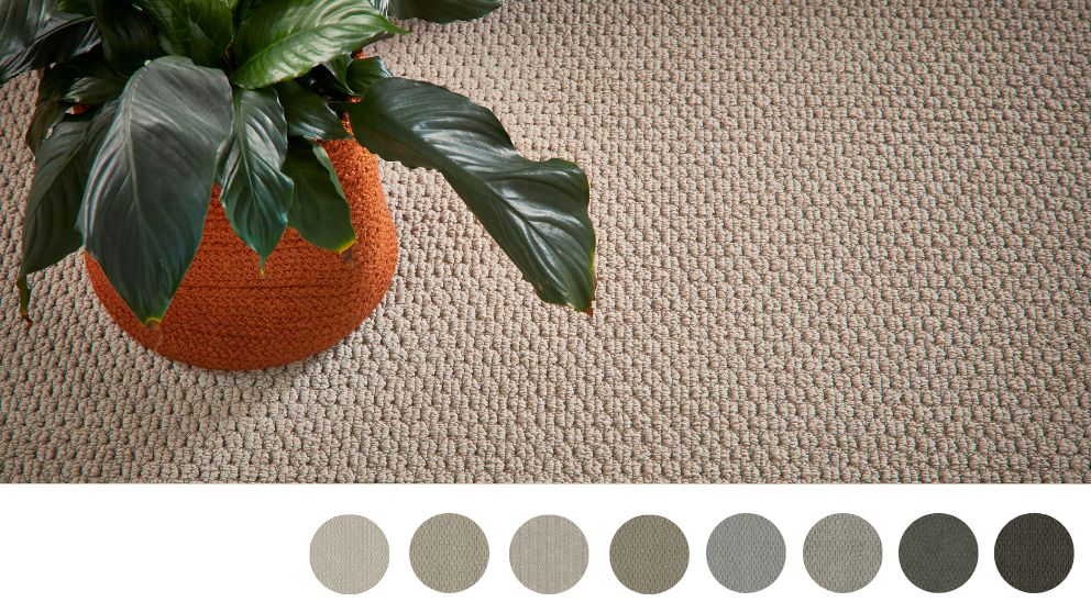 Stain Defence Essentials Korus II Carpet | Harvey Norman