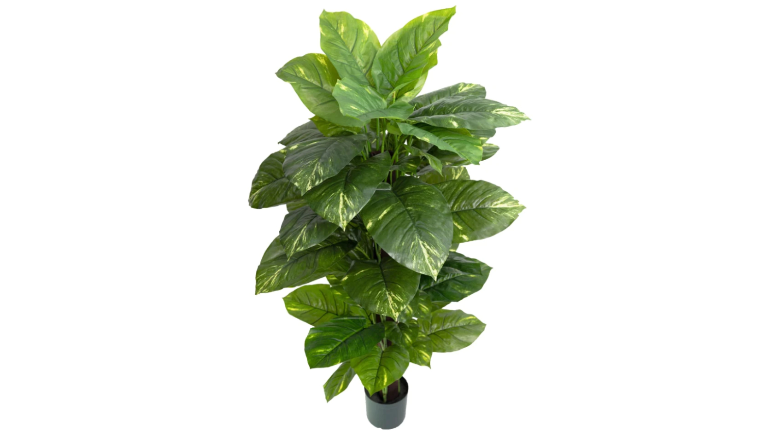 Glamorous Fusion Decorative Arrangement Real Touch Pothos Artificial ...