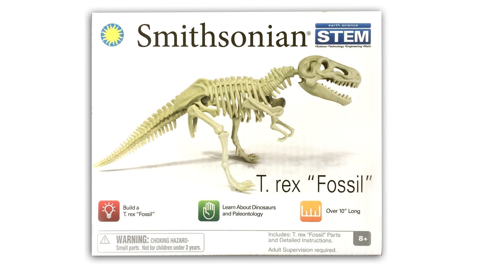 Smithsonian 25cm T Rex Fossil Skeleton | Harvey Norman