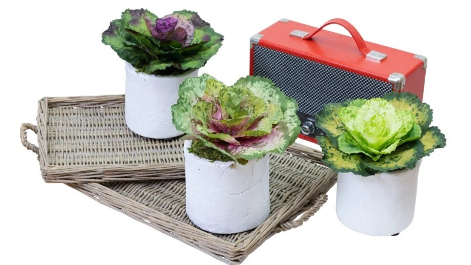 Fusion Set of 3 Assorted Cabbage Rose in Pot Artificial Flower Plant ...