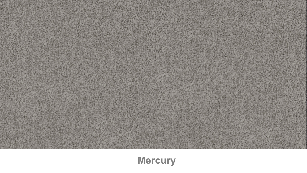 Stain Defence Platinum Pure Delight Carpet | Harvey Norman