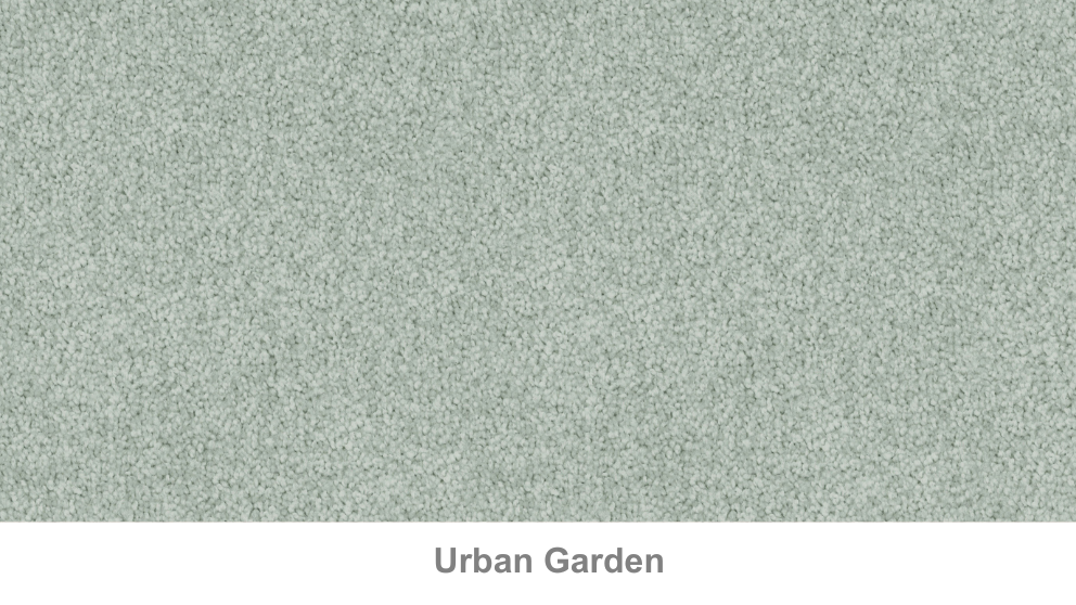 Stain Defence Platinum Pure Delight Carpet | Harvey Norman