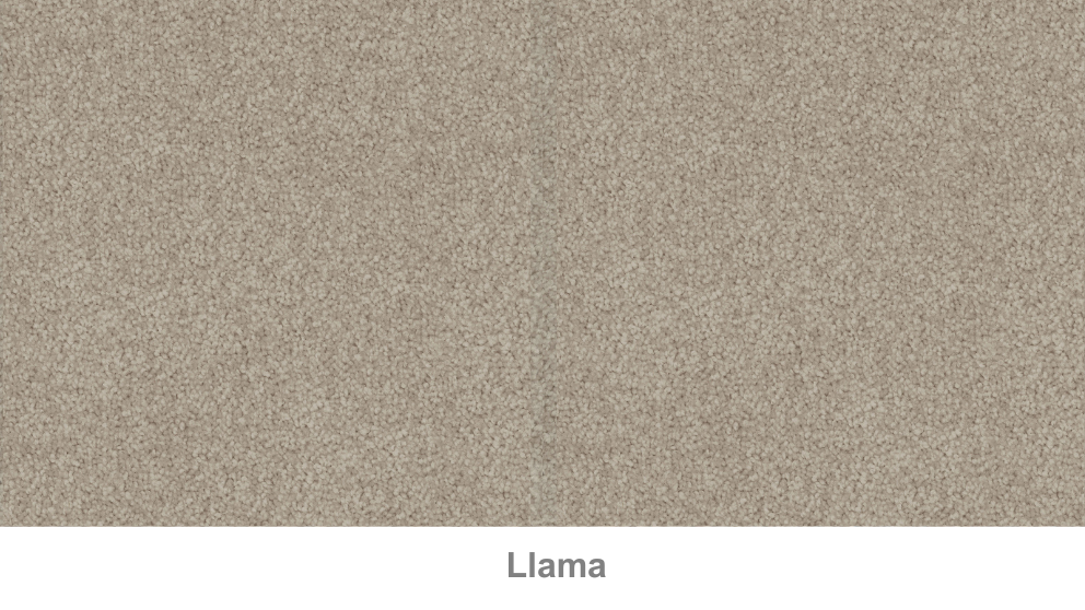 Stain Defence Platinum Pure Delight Carpet | Harvey Norman
