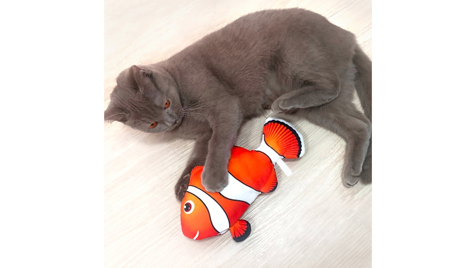 Pettecc Flippy Fish - Clown Fish | Harvey Norman