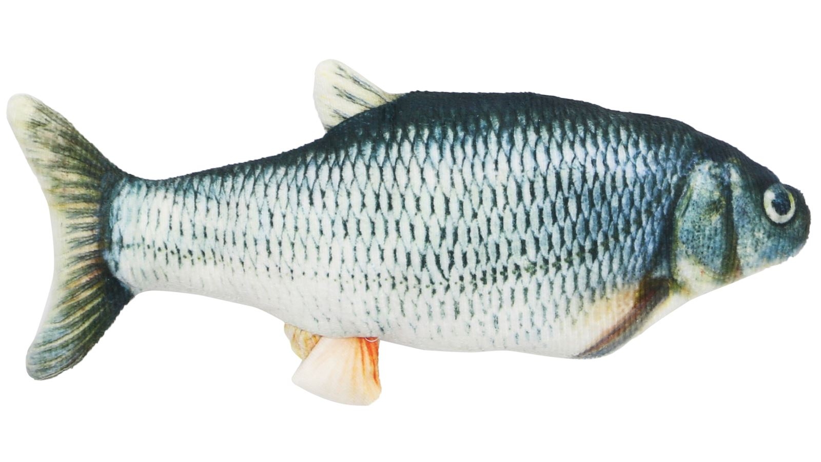 Pettecc Flippy Fish - Blue | Harvey Norman