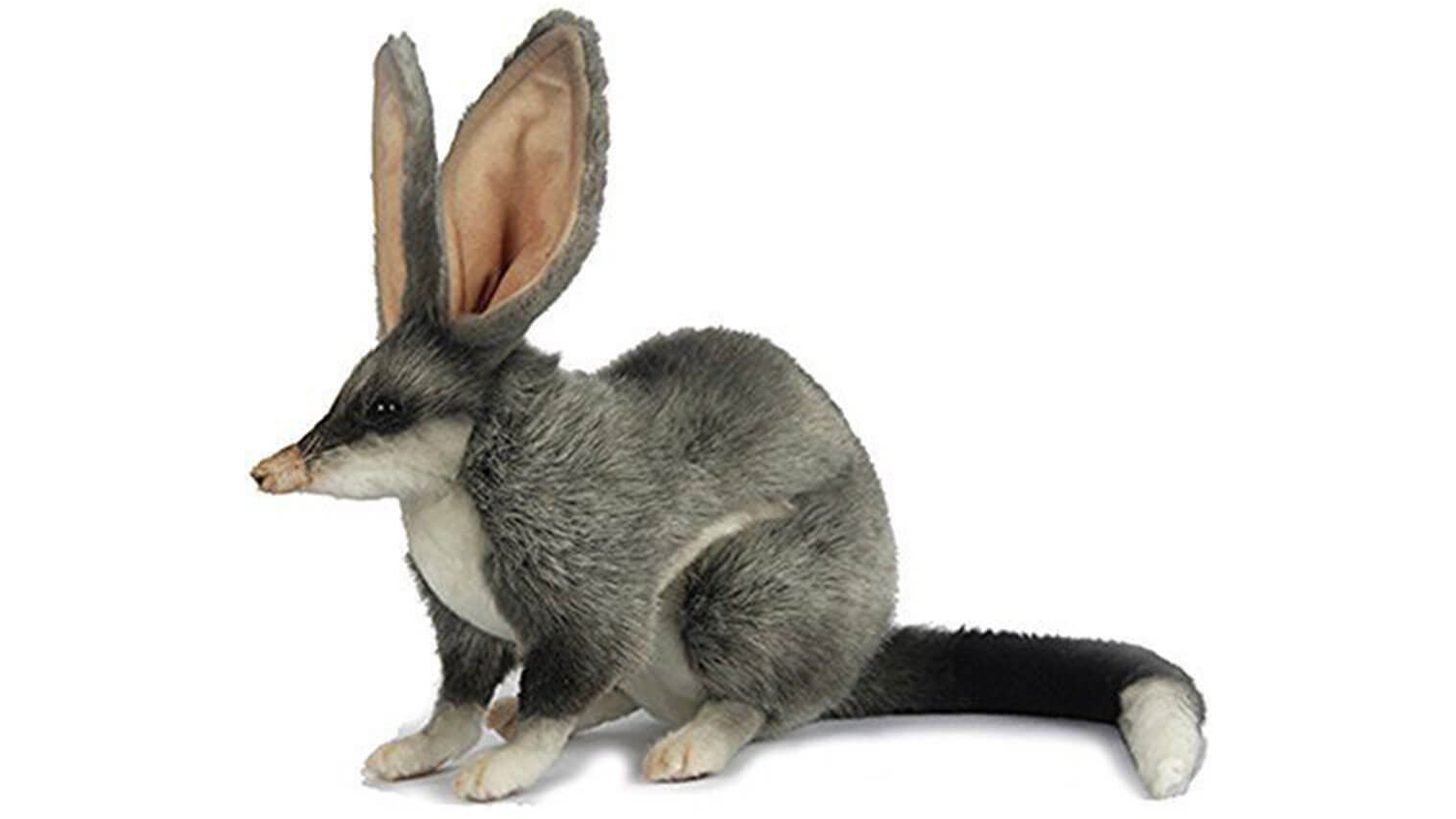 Hansa 30cm Bilby Plush Toy | Harvey Norman
