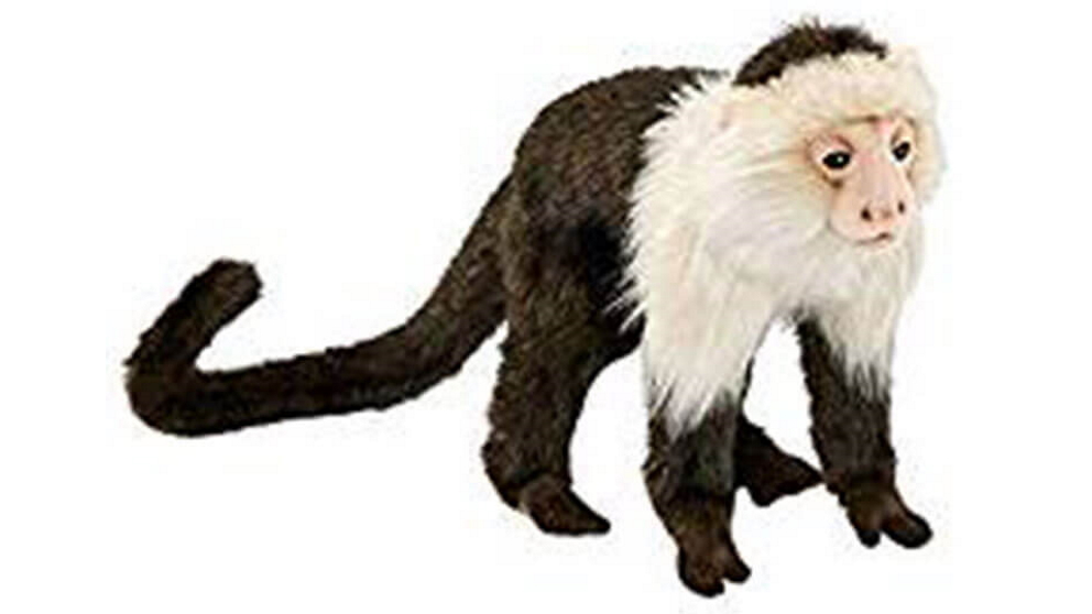 Hansa 20cm Capuchin Monkey Plush Toy | Harvey Norman