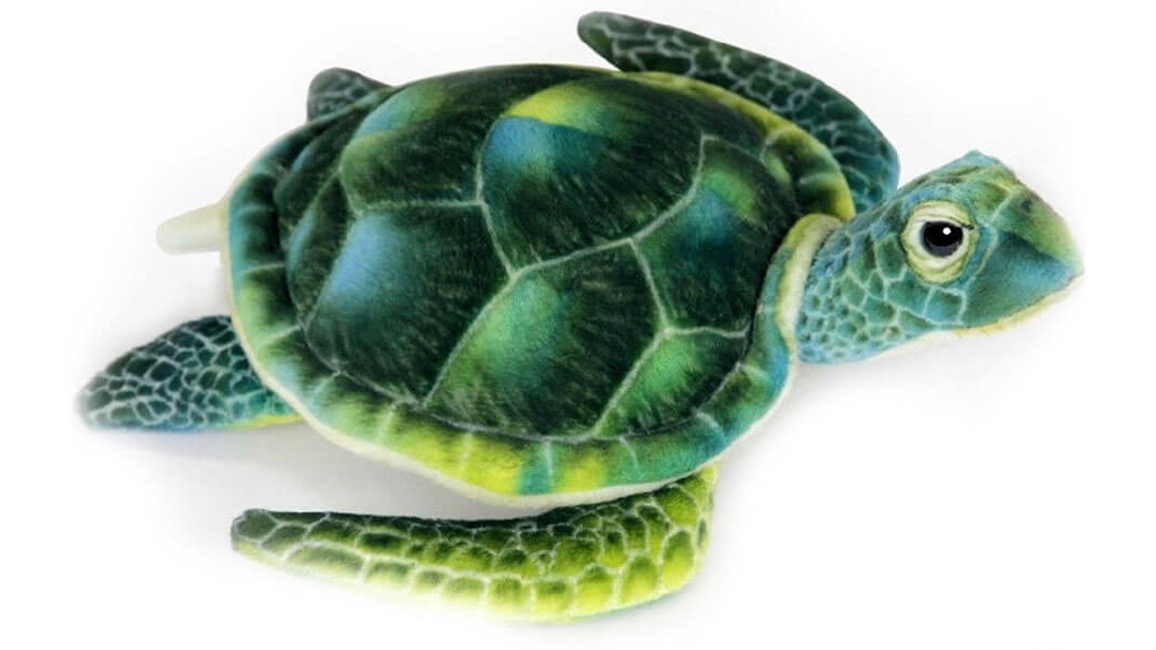 Hansa 29cm Green Turtle Plush Toy | Harvey Norman
