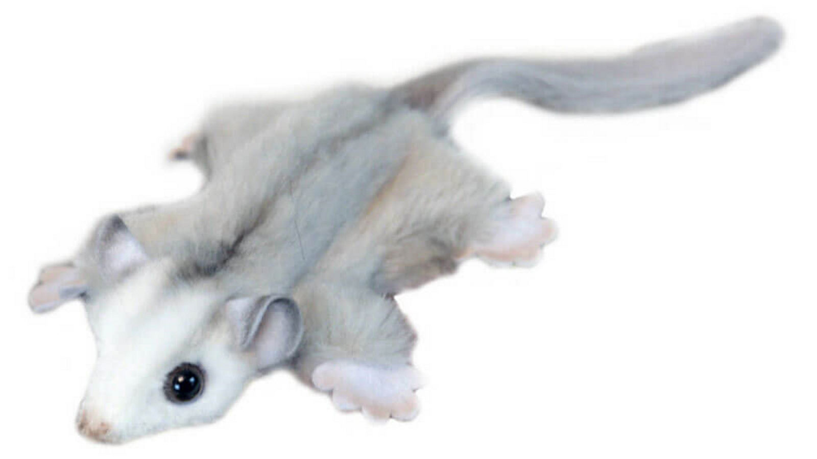Hansa 22cm Feather Tail Glider Plush Toy | Harvey Norman