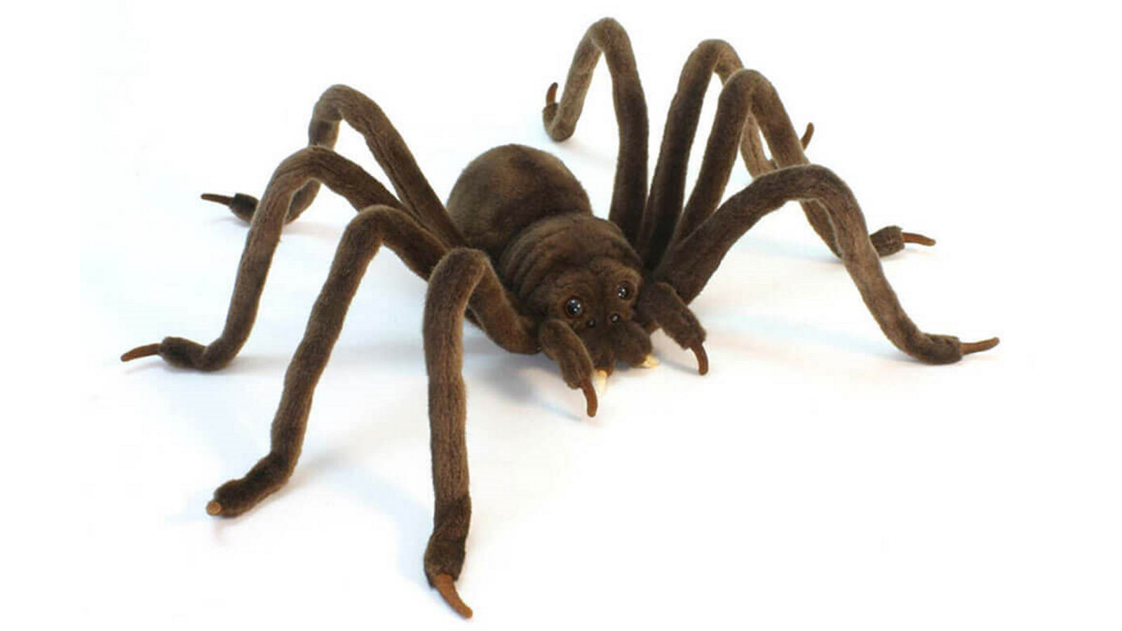 Hansa 50cm Huntsman Spider Plush Toy | Harvey Norman
