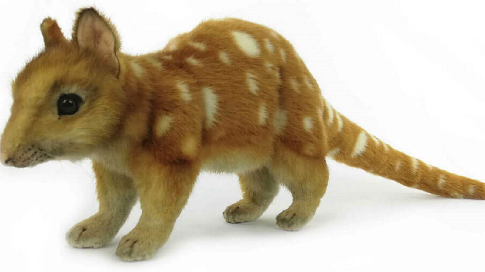 Hansa 57cm Quoll Plush Toy | Harvey Norman