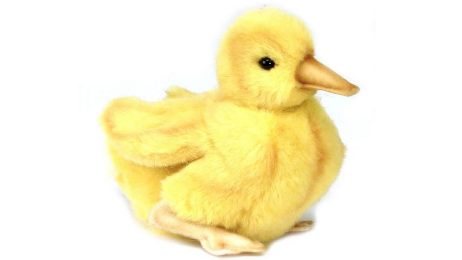 Hansa 20cm White Tailed Duckling Plush Toy | Harvey Norman
