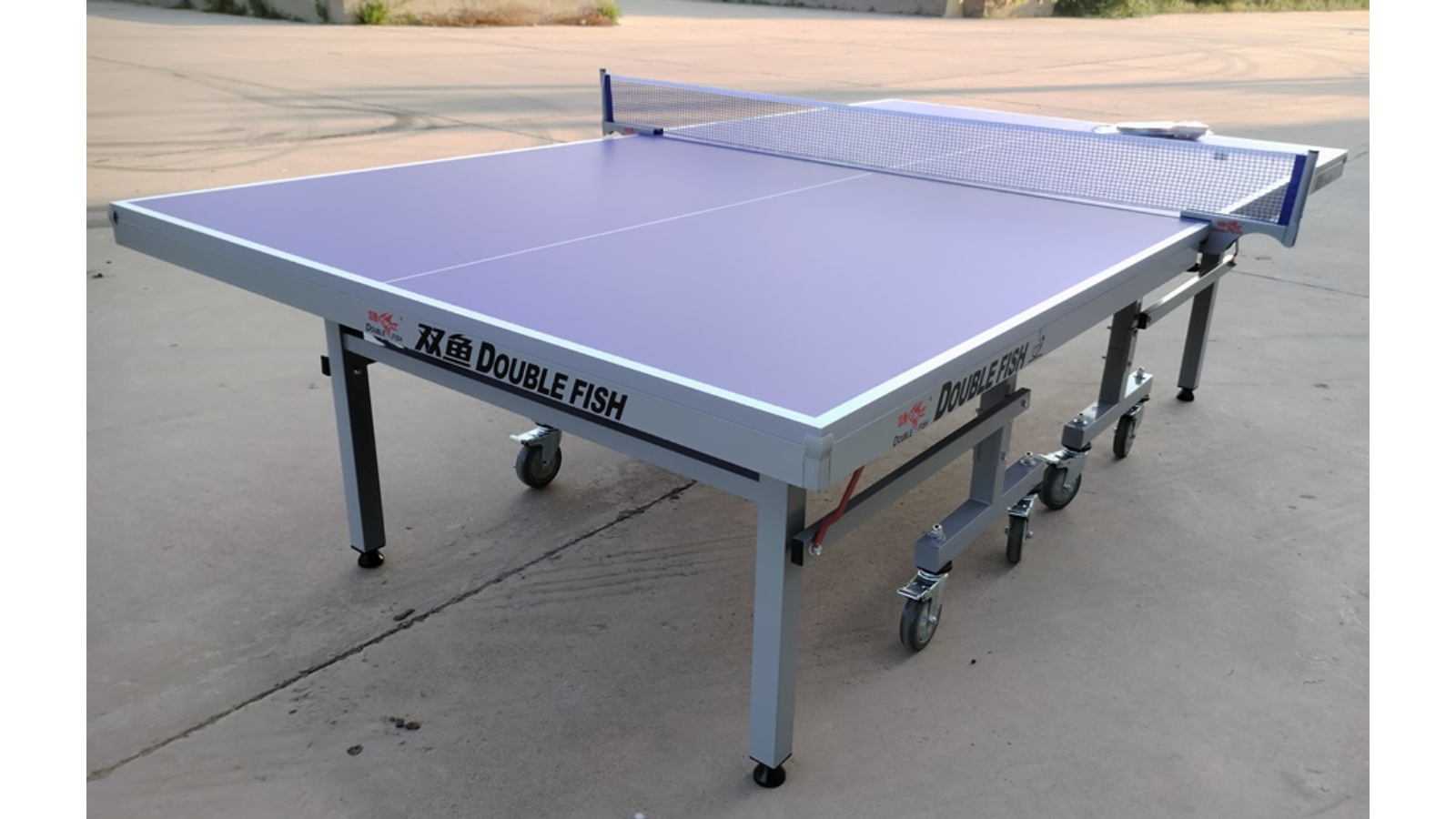 Double Fish 2.5cm Top Table Tennis Ping Pong Table | Harvey Norman