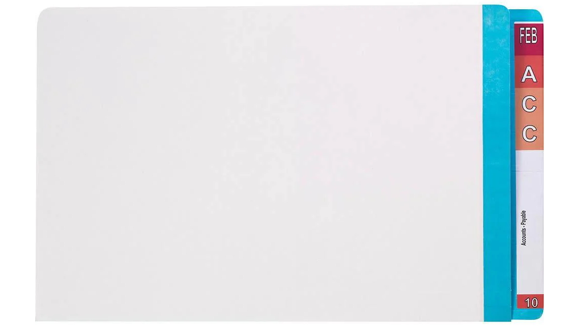 Avery 42536 Box of 100 White Lateral File with Light Blue Mylar Tab ...