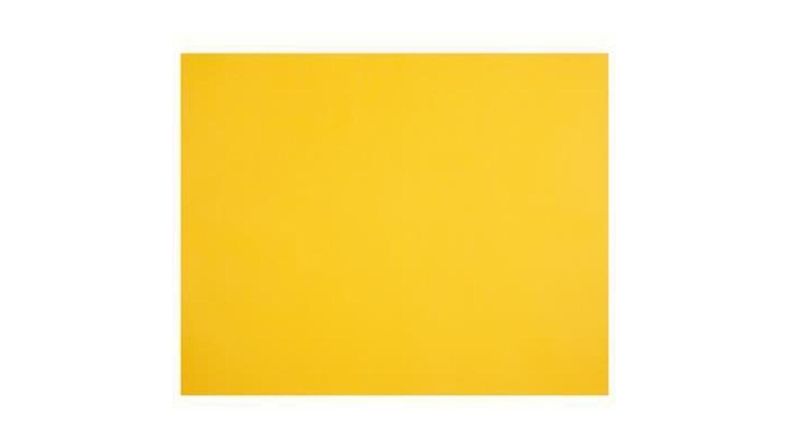 Quill Pack of 20 XL 210gsm 51 × 63.5cm Cardboard Paper - Sunshine ...