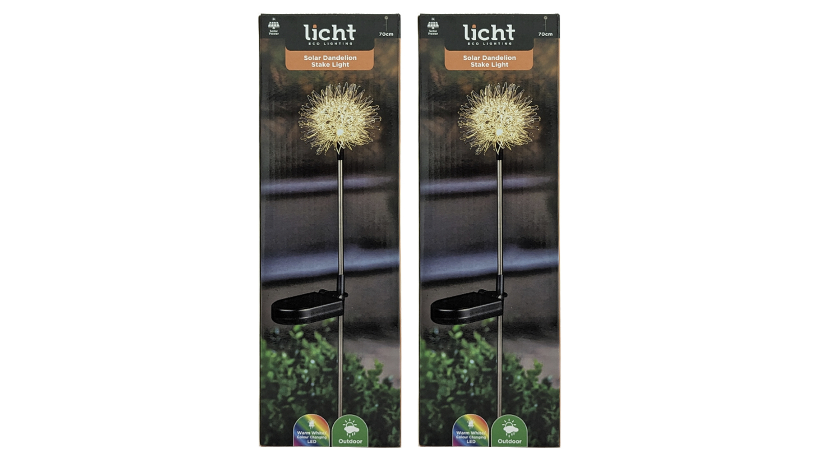 Licht Eco Lighting 2 Piece LED Dandelion Changing Solar Light - Warm ...
