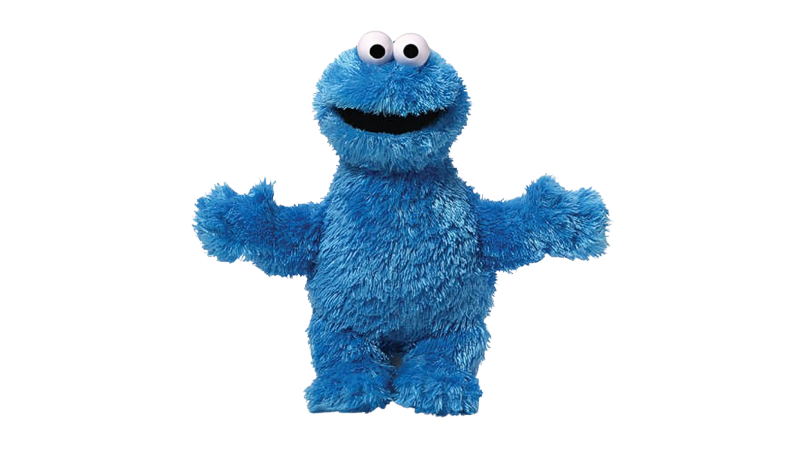 Sesame Street Small Cookie Monster Toy | Harvey Norman
