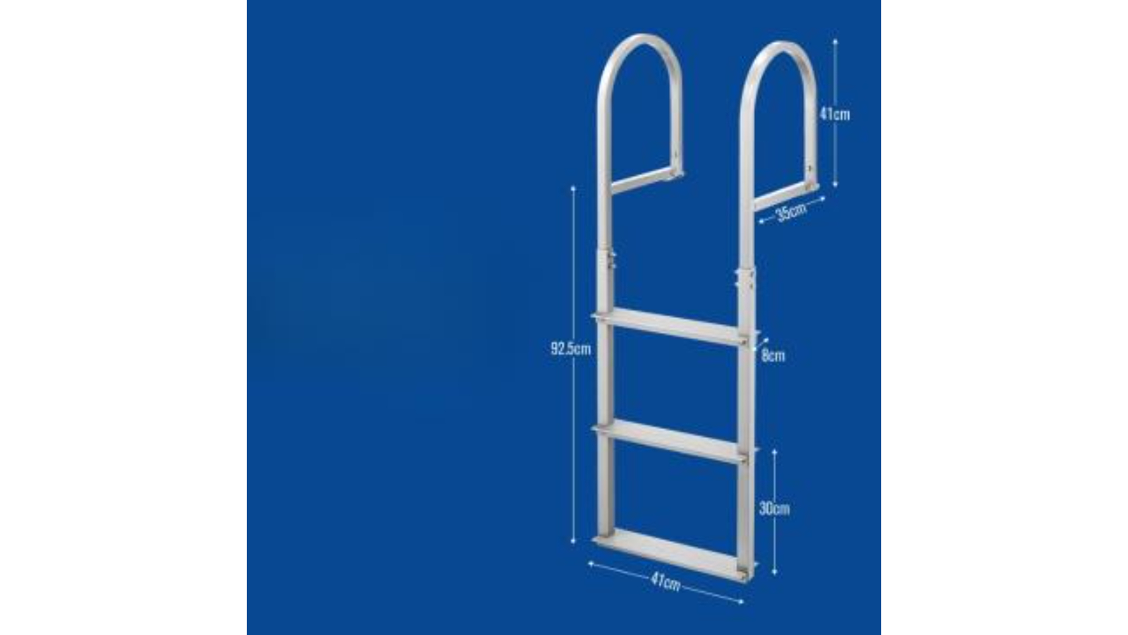 Removable dock ladder store