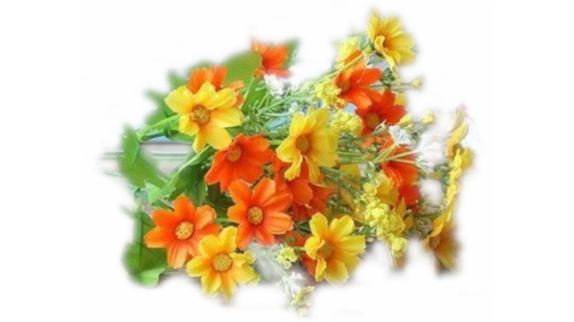 HOD 28 Head Cineraria Artificial Flower Bouquet - Yellow | Harvey Norman