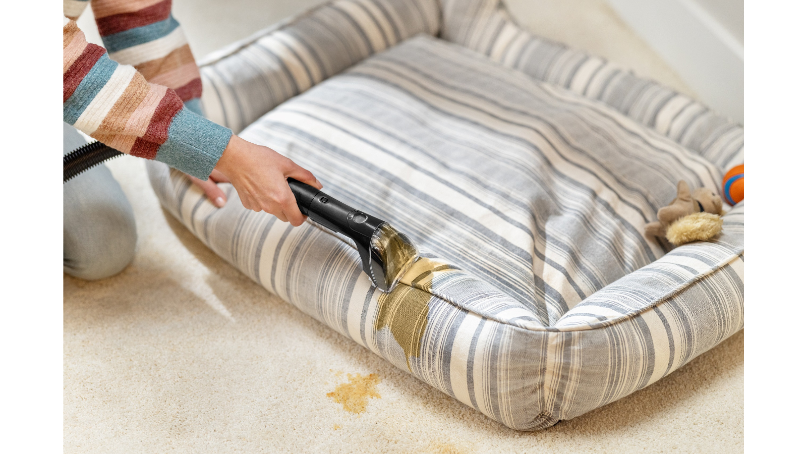 Bissell QuickWash PowerBrush Carpet Cleaner | Harvey Norman