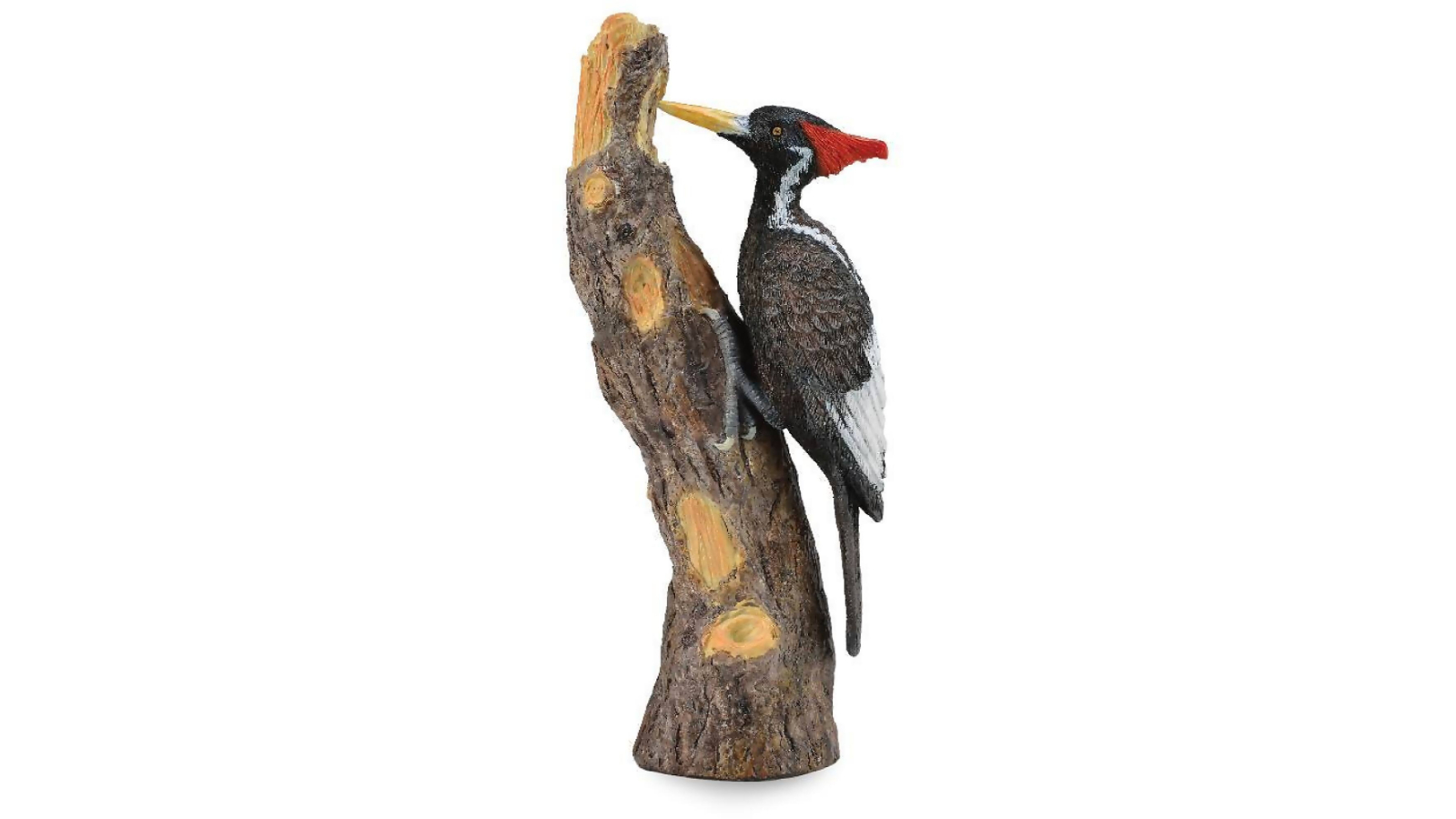 CollectA Ivory Billed Woodpecker Bird Figurine | Harvey Norman
