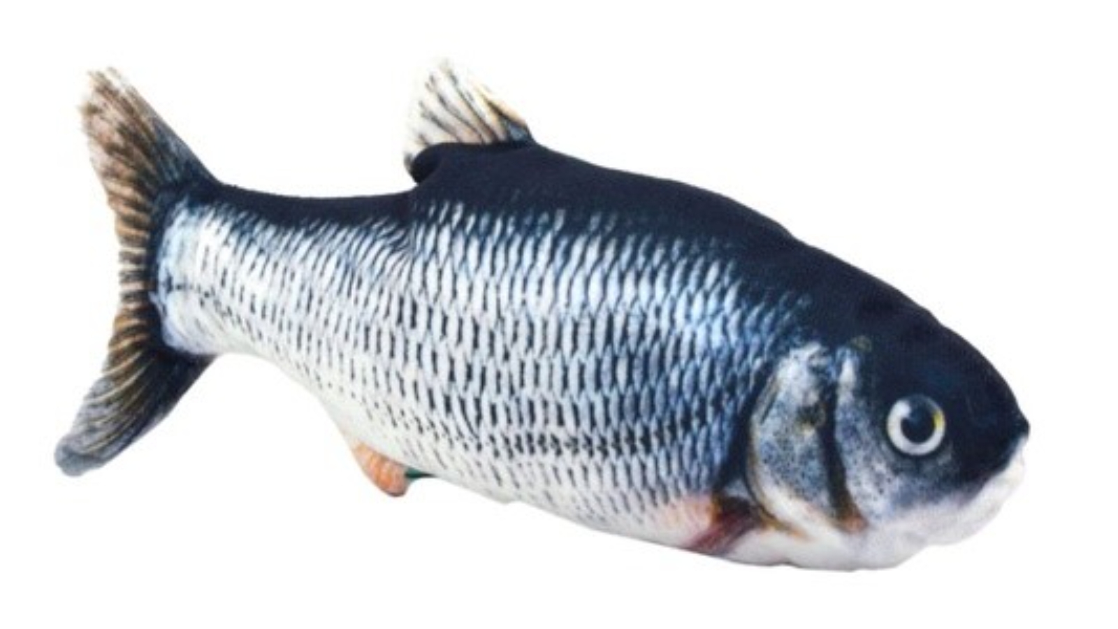 Floofi USB Rechargeable Dancing Fish - Crucian Carp | Harvey Norman