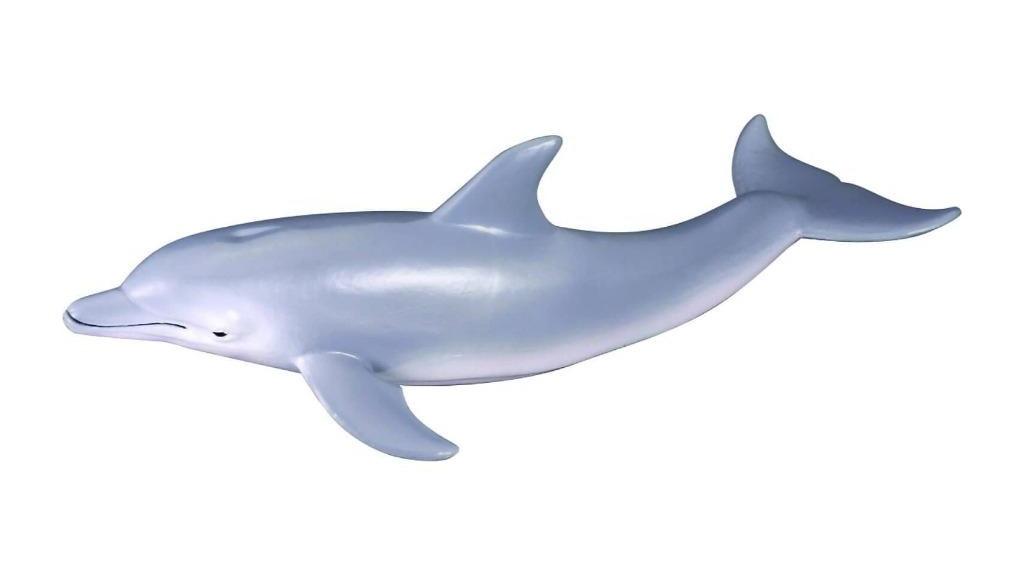 CollectA Medium Bottlenose Dolphin Figurine | Harvey Norman