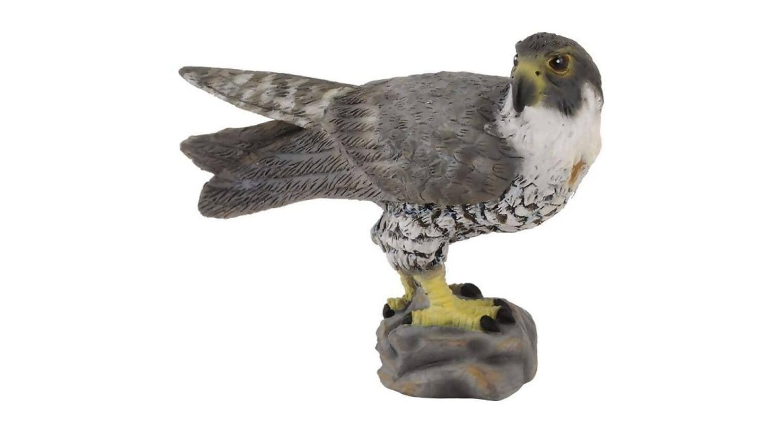 CollectA Peregrine Falcon Bird Figurine - Small | Harvey Norman
