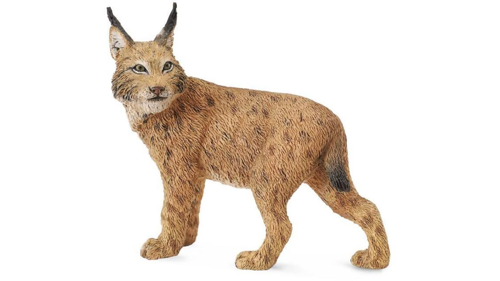 CollectA Large Lynx Animal Figurine | Harvey Norman