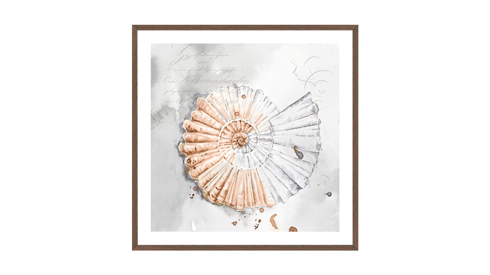 La Grolla Blush Shell II Walnut Frame Wall Art - 54 x 54cm | Harvey Norman