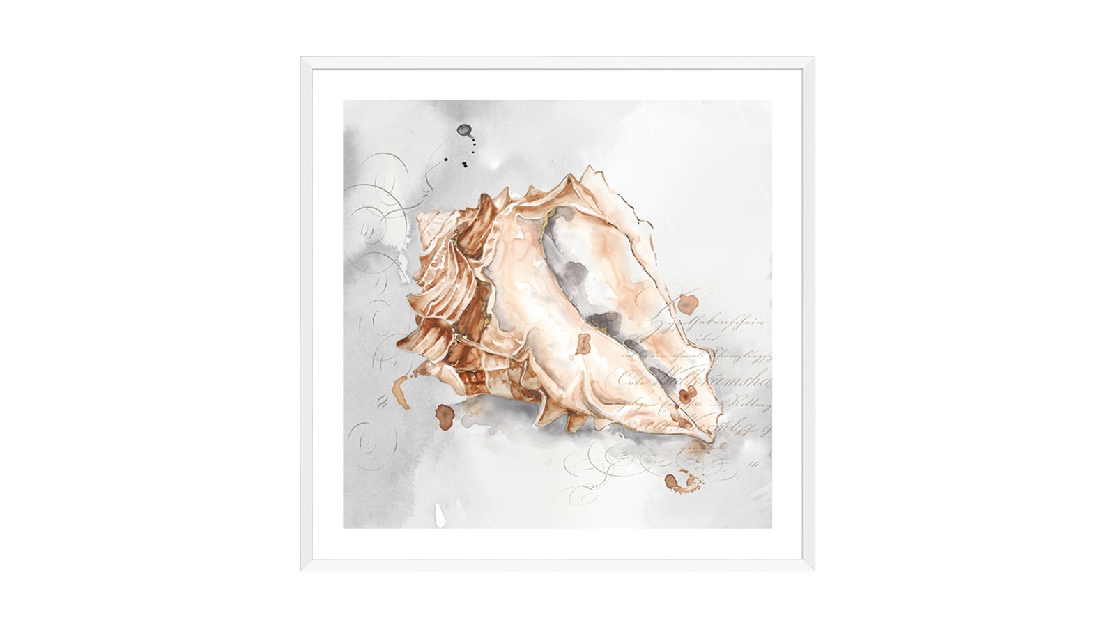 La Grolla Blush Shell III White Frame Wall Art - 54 x 54cm | Harvey Norman
