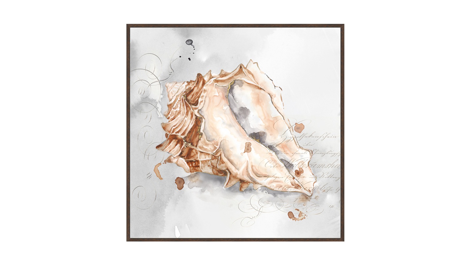 La Grolla Blush Shell III Walnut Gallery Wall Art - 103 x 103cm ...