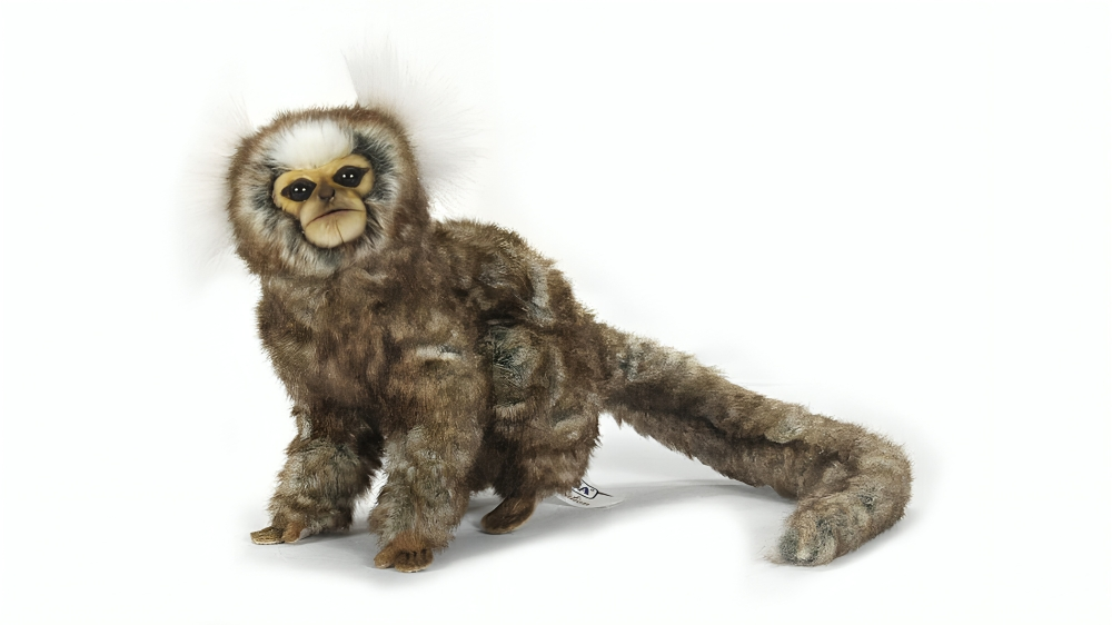 Hansa White Eared Marmoset Plush Toy - 23cm | Harvey Norman