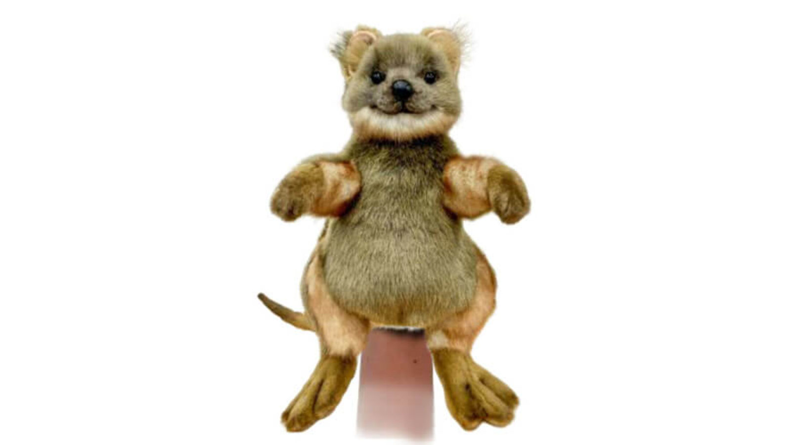 Hansa Quokka Realistic Hand Puppet - 33cm | Harvey Norman