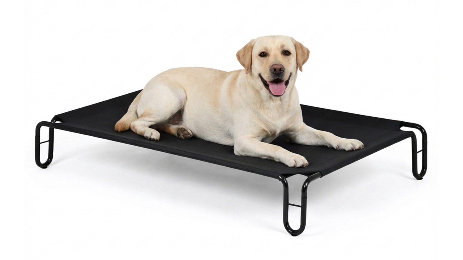 Advwin Large Durable Breathable Mesh Sofa Elevated Dog Bed | Harvey Norman