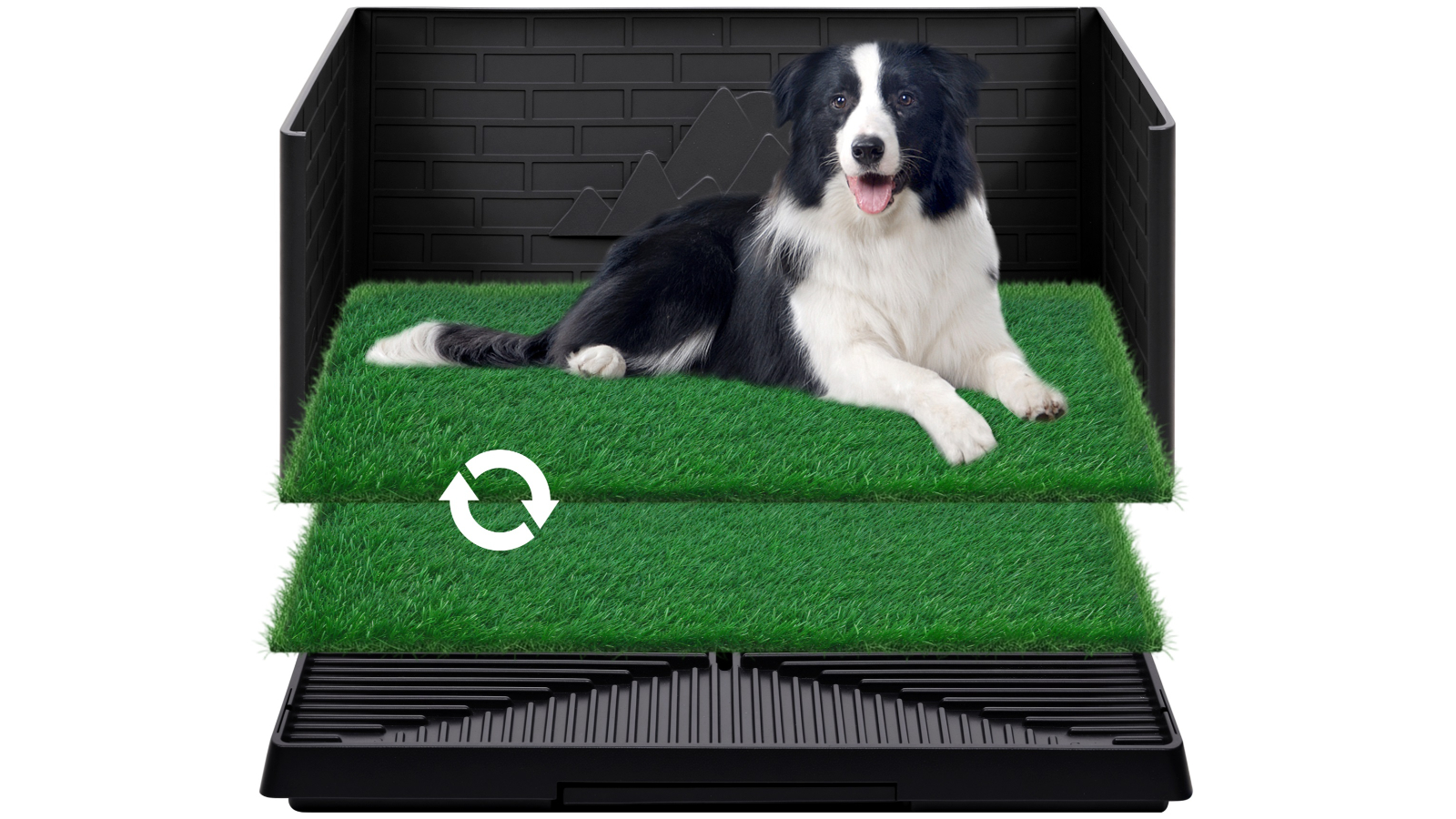 Advwin Portable Splash-proof Pet Potty Training | Harvey Norman