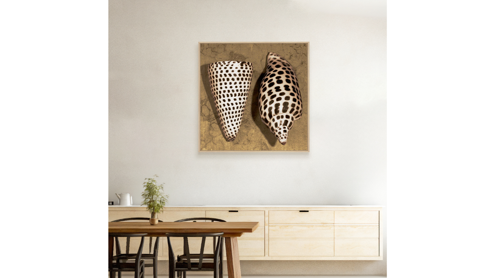 La Grolla Cone Sheel Natural Gallery Wall Art - 103 x 103cm | Harvey Norman