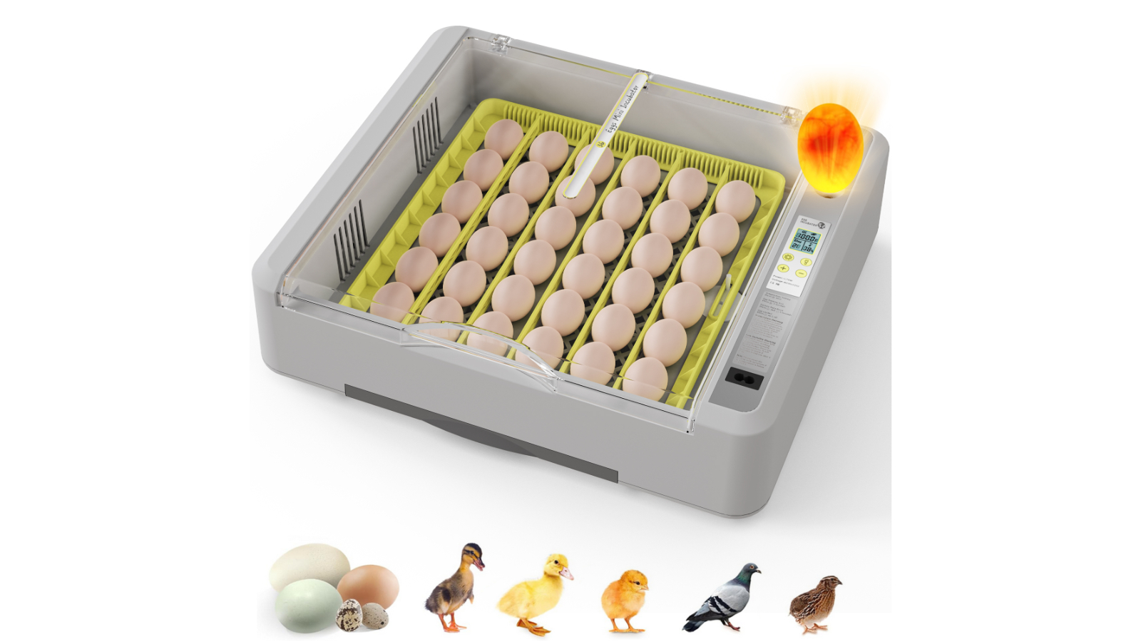Advwin 36 Egg Automatic Incubator with Candler | Harvey Norman