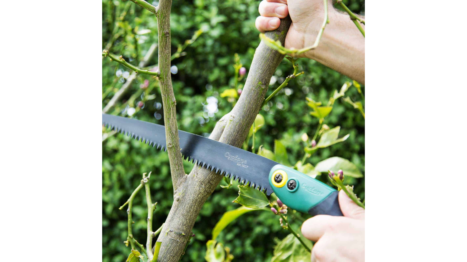 Cyclone Pruning Saw Straight Fixed Tool | Harvey Norman