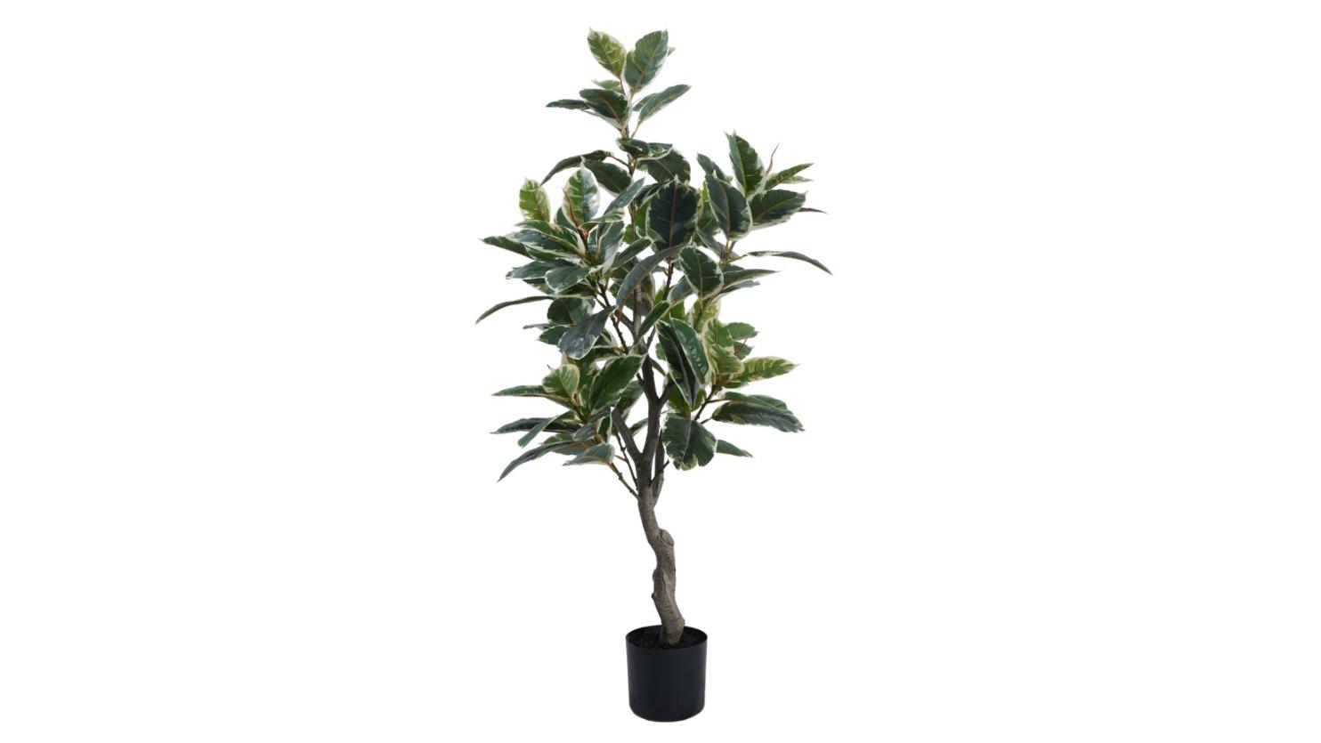 Designer Plants Artificial Rubber Bushy Variegated Ficus Tree - 120cm ...