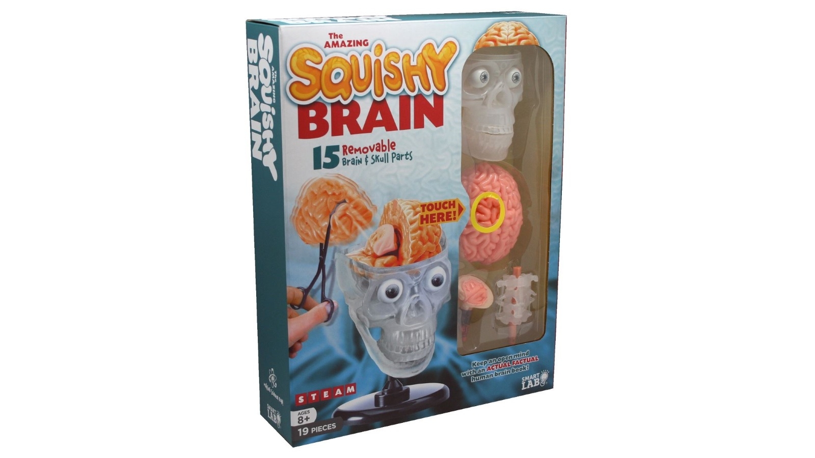 SmartLab Toys The Amazing Squishy Brain | Harvey Norman
